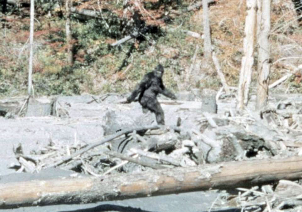 Sasquatch Investigations of the Rockies | Pikes Peak Historical Society
